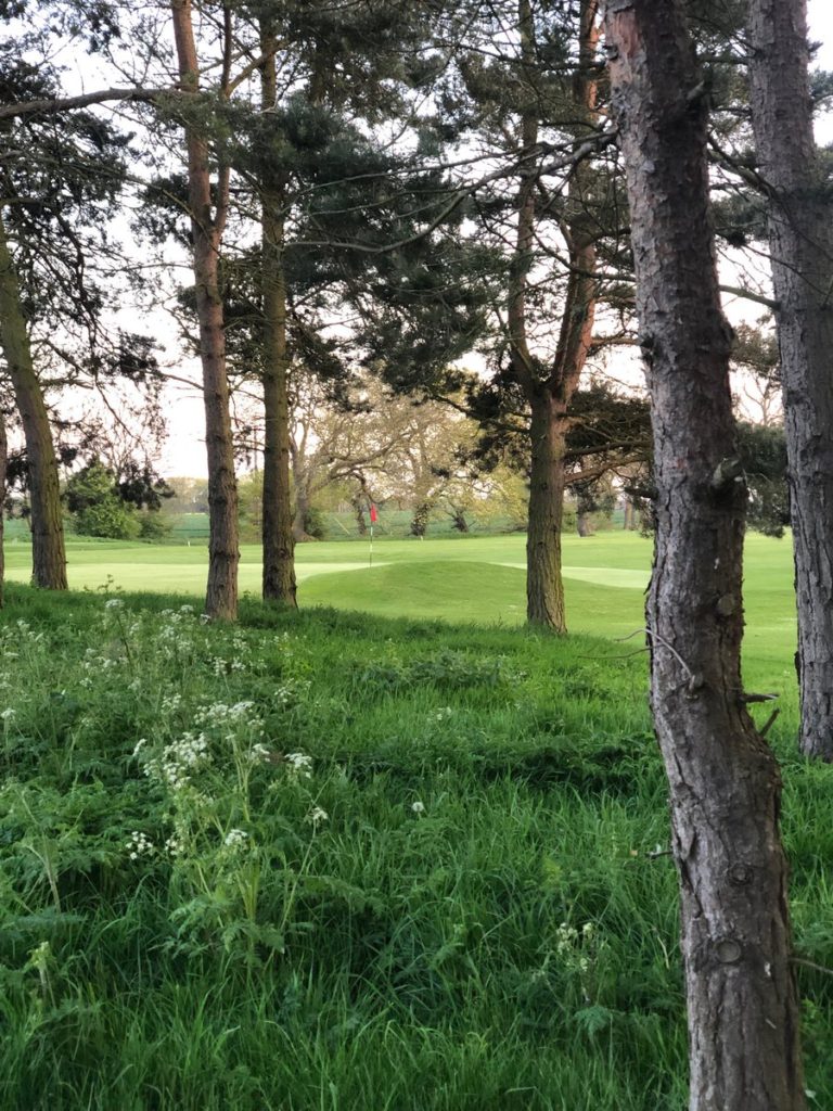 The Course – Ganstead Park Golf Club
